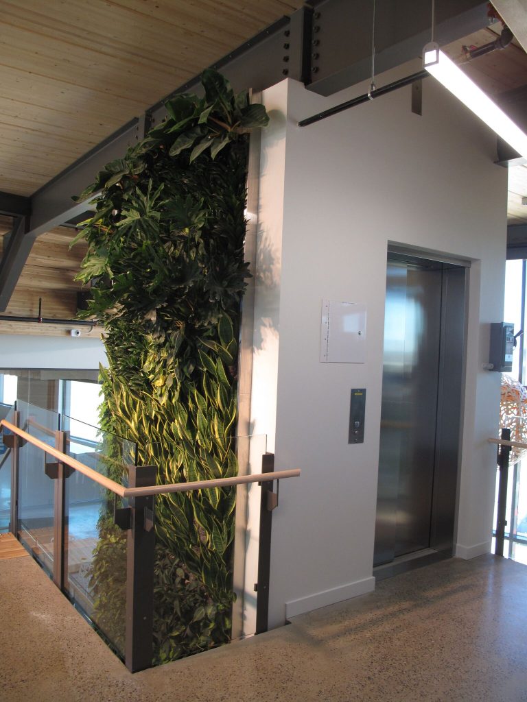 ADA Compliant Elevator Installation | Limited Use Limited Application ...